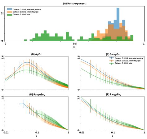self similarity and complexity analyses of epileptic eeg datasets c