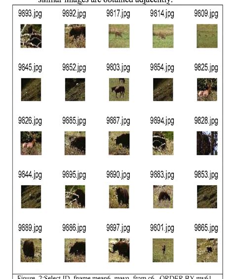 Figure 2 From Similar Image Searching From Image Database Using Cluster Mean Sorting And