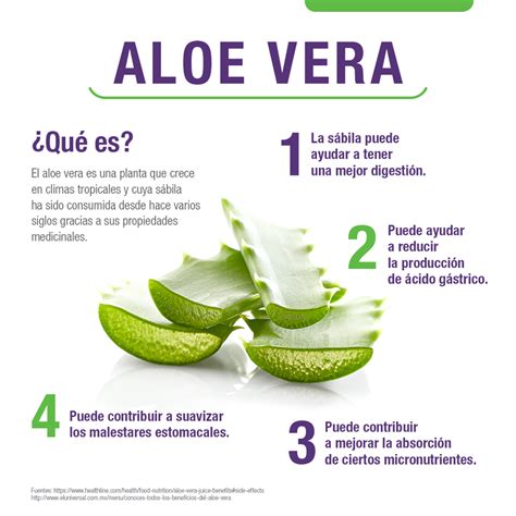 H Nutrición ¡conoce Los Beneficios Del Aloe Vera 💚