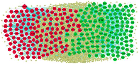 Ppi Network Of Degs The Ppi Network Of Degs Was Constructed Using