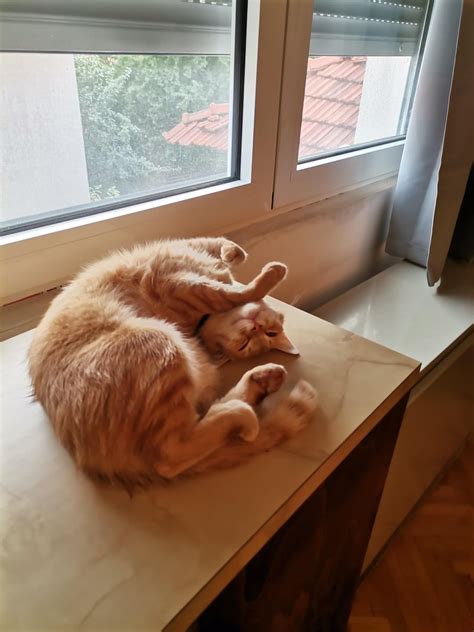 Jimmy The Robot R Imaginarytechnology