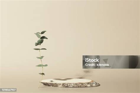 화장품 모형을 위한 베이지 색 배경에 나무 슬라이스 연단 0명에 대한 스톡 사진 및 기타 이미지 0명 3차원 형태 강단 Istock