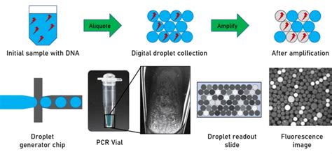 Microfluidics For Vaccine Development Fluigent