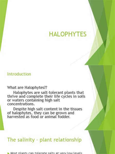 Halophytes