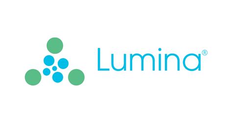 Redefining Words The Simple Power Of Random Contrast Learning In Text Classification Lumina Ai