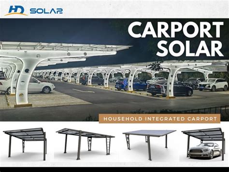 Demi Guo On Linkedin 🎉 🎉 As The New Year Begins Lets Embrace Sustainable Living With Our…