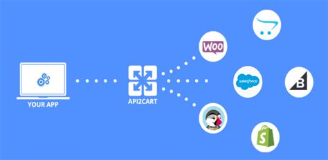 Guide To Shopping Cart Integration For B2B Software Company API2Cart