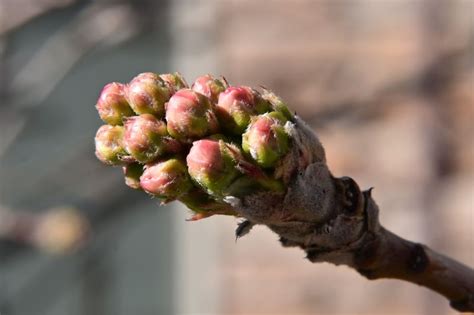 Gennady Zakharin On Linkedin Spring