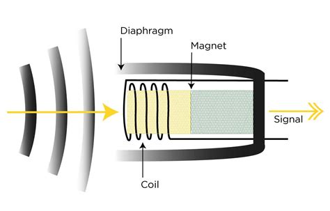 How Do Microphones Work Wex Photo Video