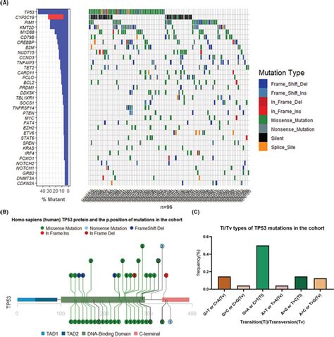 Heatmap Of The Mutations And Tp53 Mutation Hotspots In 96 Patients A Download Scientific