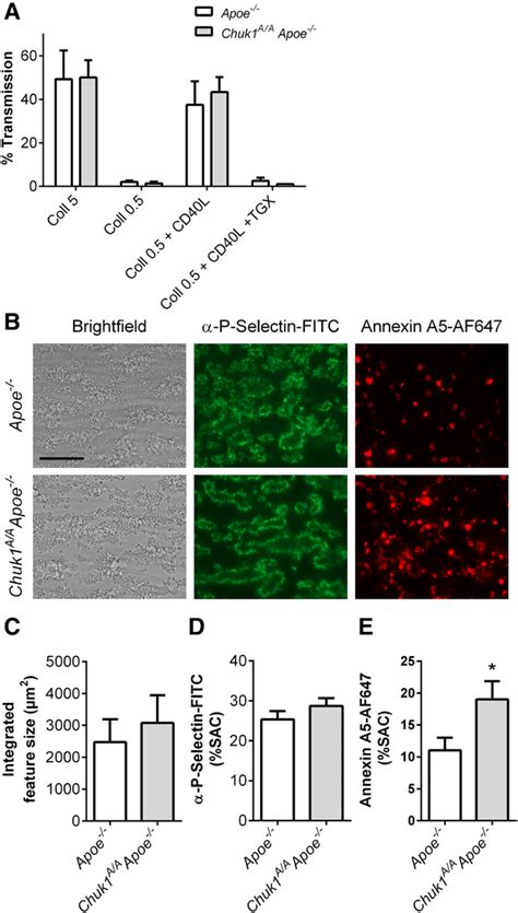 Enhanced Platelet Aggregation And Thrombus Formation By Cd40l Are