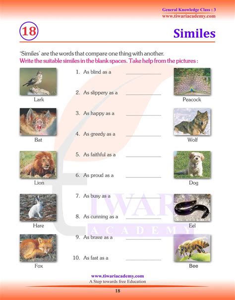 Class 3 General Knowledge Questions Answers Book Gk Tests