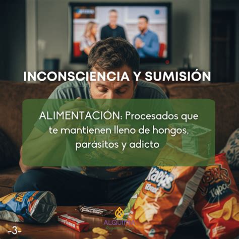 Incon Alquimia Regenerativa