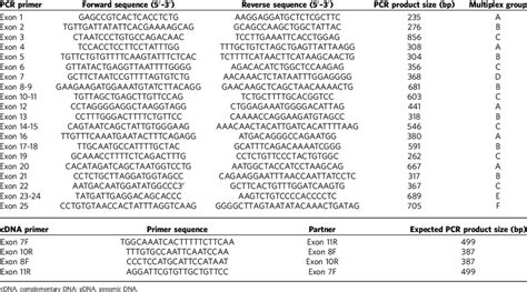 Gdna And Cdna Primer Sequences And Sizes Download Table