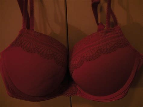 Babes Bra Cum Porn Pictures XXX Photos Sex Images 1098381 PICTOA
