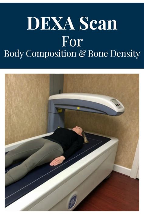 DEXA Scan For Body Fat Testing And Measuring Bone Density Amee S Savory Dish
