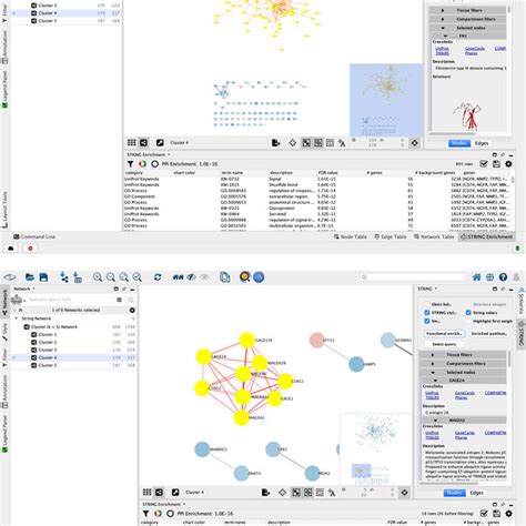 The Networks From The String Database Are Displayed In The Main