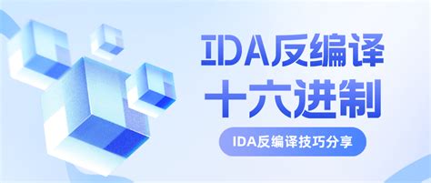 怎么用ida反编译十六进制 ida反编译十六进制技巧分享 ida中文网站