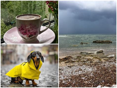 ВАДЕТЕ ЧАДЪРИТЕ Дъжд над цялата страна ето къде валежите ще са интензивни КАРТА