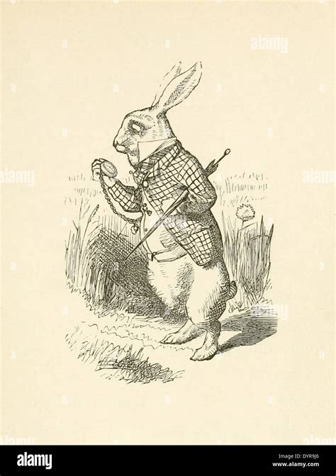 Alice In Wonderland Original Illustrations White Rabbit