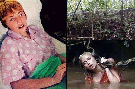 The Story Of Juliane Koepcke How A Teenager Survived 11 Days In The