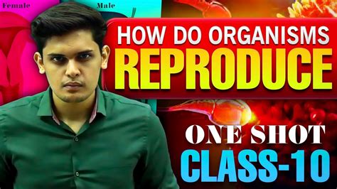 How Do Organisms Reproduce Complete Chapter Class 10th Science NCERT Covered Prashant Kirad