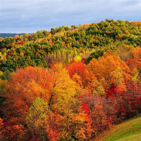 Top Fall Foliage Spots In Ohio And Neighboring States • Compassohio