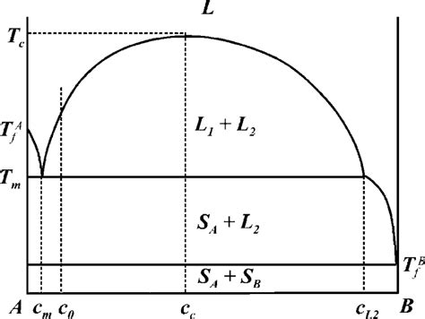 Schematic Phase Diagram For Systems With A Liquid Miscibility Gap Download Scientific Diagram