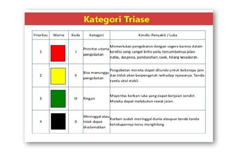 Warna Triase Pdf