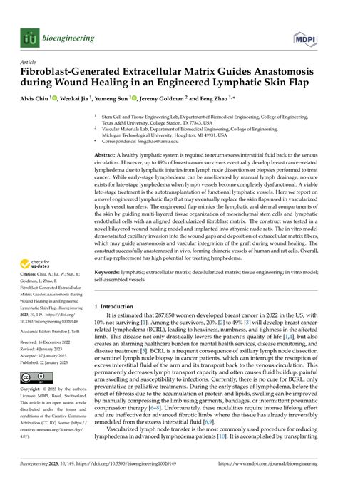 Pdf Fibroblast Generated Extracellular Matrix Guides Anastomosis