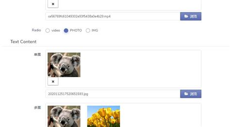 Github Edwinhuishdcat Ext Filemanager Dcat Admin 表单媒体拓展