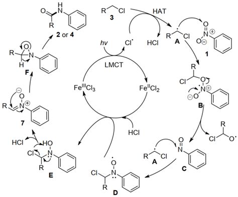 武汉理工大学化学化工与生命科学学院