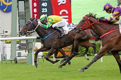 其士盃圖輯 賽馬新聞 香港賽馬會