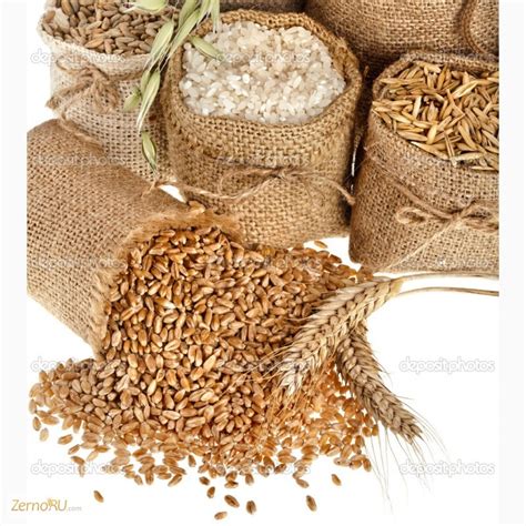 Продам/купить зерно в мешках ячмень, кукуруза, пшеница, овес - Липецк ...