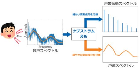 Pythonでケプストラム分析音声から声帯情報を取得してみた Watlab