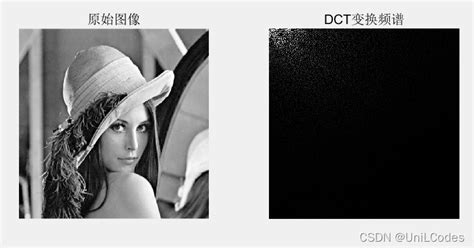 数字图像处理 Dct变换用matlab图像处理工具箱提供的函数进行图像的dct变换和反变换利用dct变换编程实 Csdn博客