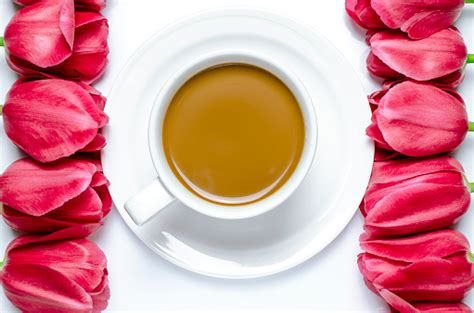 화이트 커피 컵 흰색 배경 멀티 컬러 튤립 근처 흰 접시에 스탠드 0명에 대한 스톡 사진 및 기타 이미지 0명 꽃 나무 꽃 식물 Istock