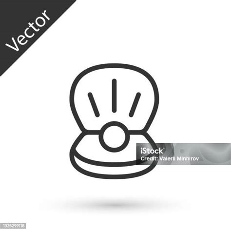 회색 라인 자연 열린 쉘 진주 아이콘흰색 배경에 격리 가리비 껍질 조개 기호 벡터 가리비에 대한 스톡 벡터 아트 및 기타 이미지 가리비 갑각류 굴 Istock