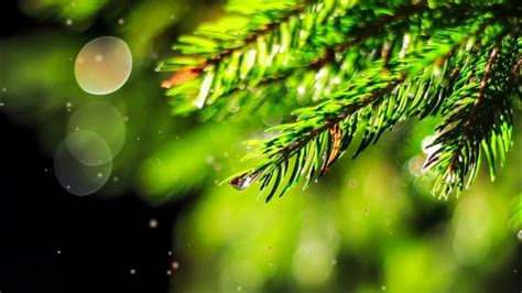 마음을 편안하게 하는 잔잔한 피아노곡 모음커피and카페레스토랑 매장에서 듣기 좋은 피아노곡 마음을 다스리는 피아노 연주곡