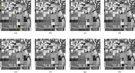 Figure 13 From Blind Sar Image Despeckling Using Self Supervised Dense Dilated Convolutional