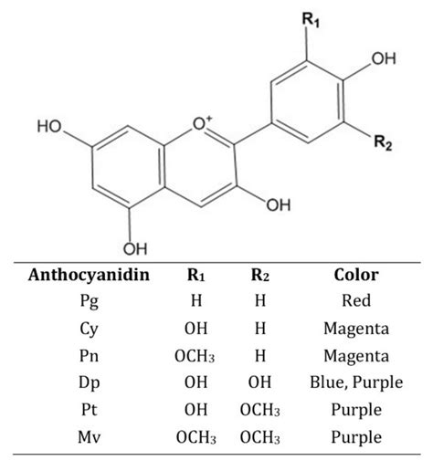 Chemical Structures Of The Most Common Anthocyanidins And Their Color