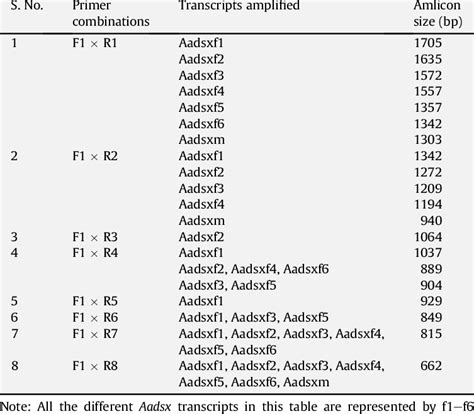 Transcripts Amplicon Size Profile Using Different Primer Pairs Download Scientific Diagram