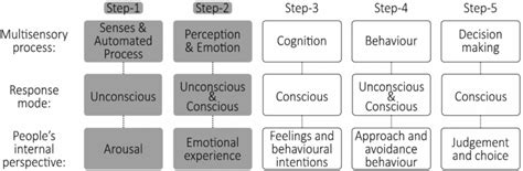 Conceptual Multisensory Response Model Adapted From Schreuder Et Al