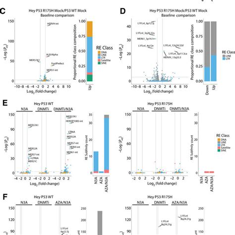 Tp53 Mutation Status And Binding Sites Affect Re Expression In Ovarian Download Scientific