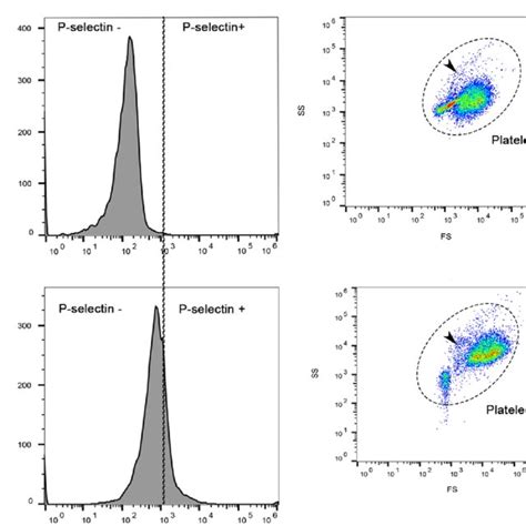 Variability Of P Selectin Expression On Unstimulated Resting Platelets Download Scientific