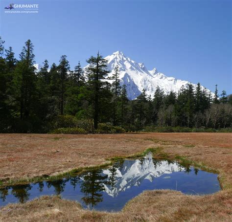 Api Base Camp Trek All You Need To Know What The Nepal