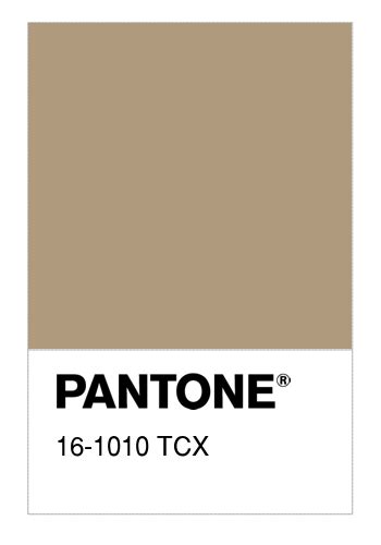 Colore Pantone® 16 1010 Tcx Incense Numerosamenteit