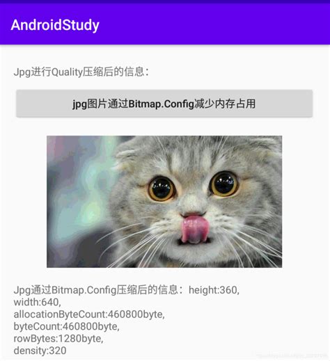性能优化：android中bitmap内存大小优化的几种常见方式 阿里云开发者社区
