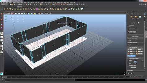 Maya Software Architecture