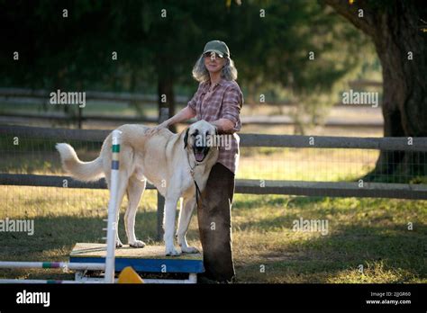 Blythe Danner The Lucky One Stock Photo Alamy